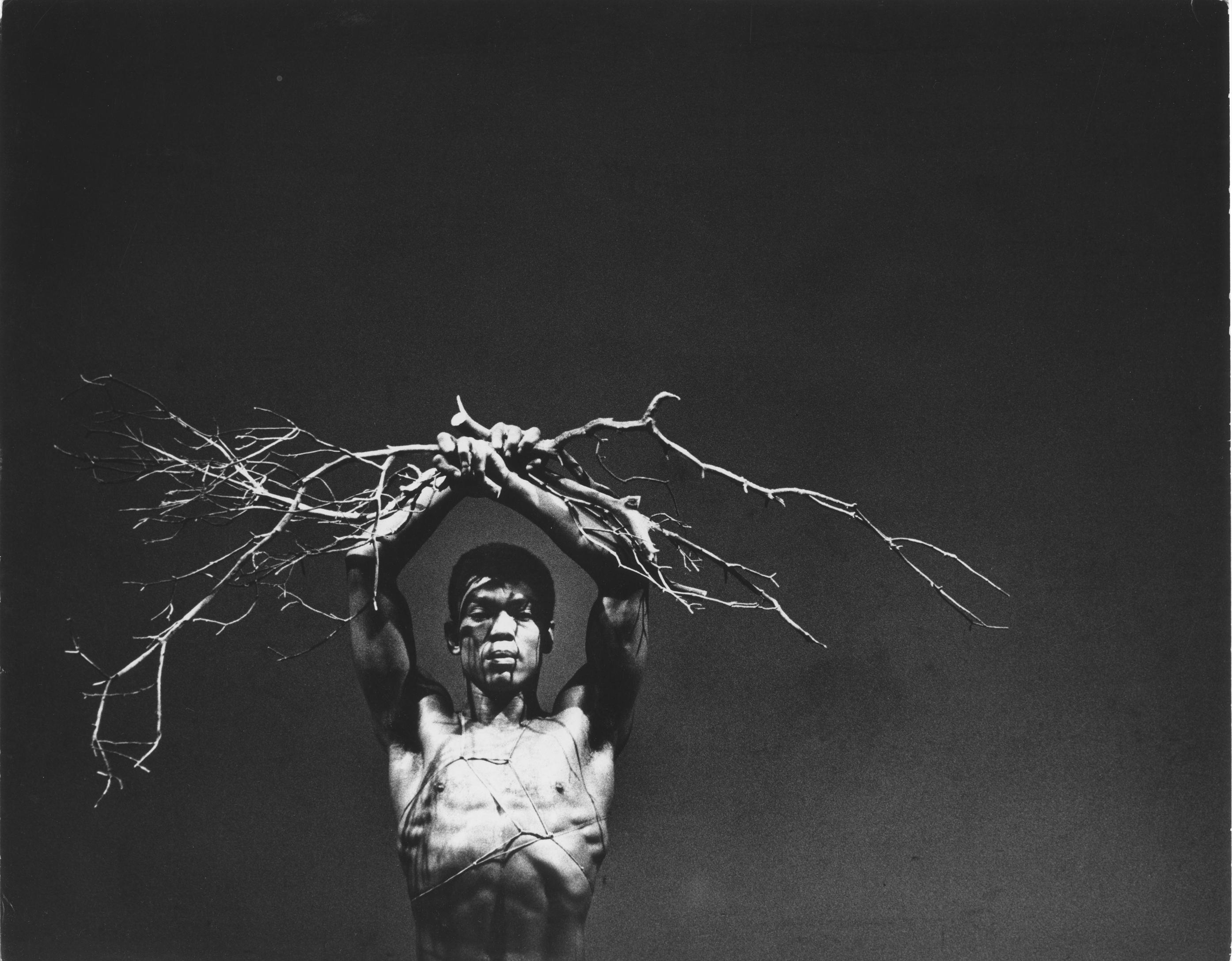 The AILEY Timeline: A Complete Organizational History